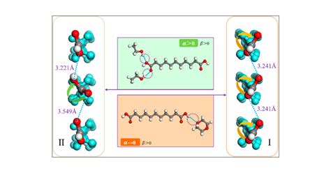 Insight Into Solvent Dependent Conformational Polymorph Selectivity