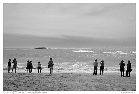 Black And White Picture Photo People Standing On Sand Beach Acadia National Park