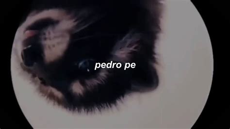 Pedro Pedro Pedro Pe Vídeo Dailymotion
