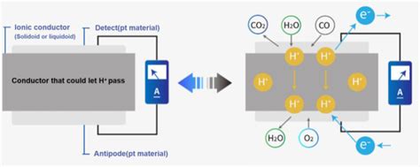 What Is A CO Sensor And How Does It Work Sensor One Stop The Best Value China Sensor