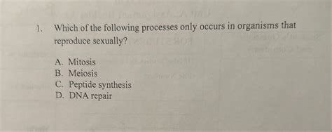 Solved Which Of The Following Processes Only Occurs In