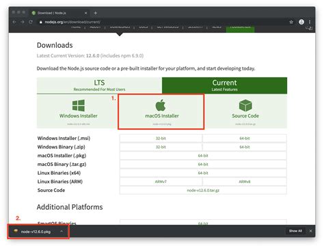 Node Npm Validator Setup Mac