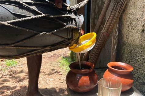 Fresh Fermented Palm Wine Is A Vital Part Of Keralas Culture