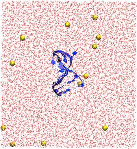 Initial Configuration Of The Md Simulation Of The Predicted 3d Ssdna