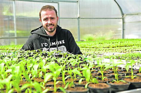 Dobra Hrana Uzgajivač čili Papričica Goran Vrabec Proglašen Je