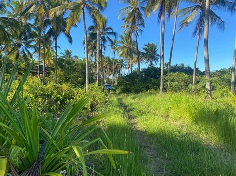 Terreno A Venda Em IlhÉus Ba 208