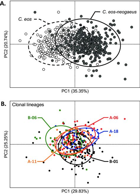 Shape Variation Of Individuals From Natural Populations A Pca