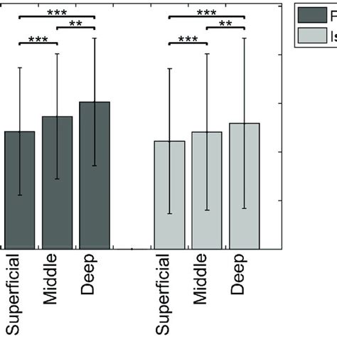 Non Uniform Displacement Along The Major Deformation Direction P Download Scientific