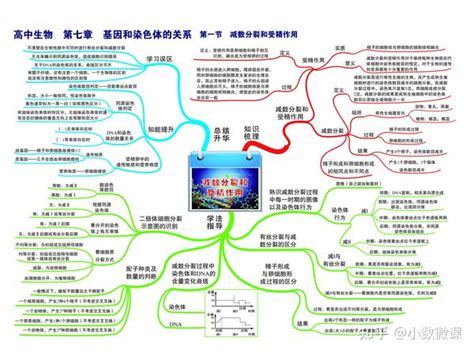 最全高中生物思维导图45张高清大图扫清高中三年知识点知识串联高效复习考试提分可下载打印 知乎