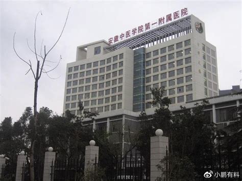 中央选定安徽省3市，建6个国家区域医疗中心，合肥最多芜湖1个！