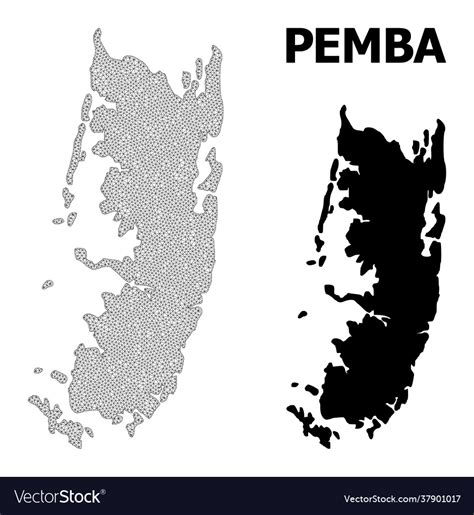 Polygonal Wire Frame Mesh High Detail Map Vector Image