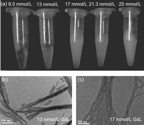 Supramolecular Assembly Assisted By Additives A Photograph Of