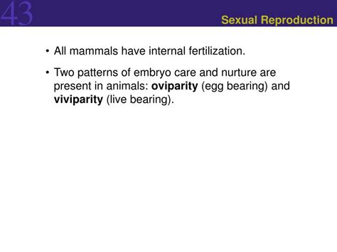 Ppt Animal Reproduction Powerpoint Presentation Free Download Id