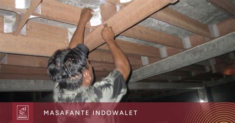 Harvesting Swiftlet Nests A Comprehensive Guide Masafante Indowalet Harvesting Swiftlet Nests A Comprehensive Guide Masafante Indowalet