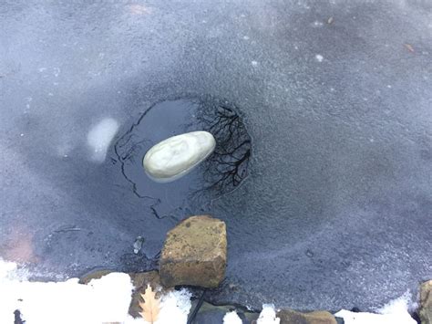 Pin Von Barb Begam Auf Ponds