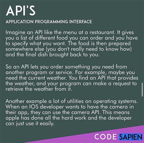 what are api s r codesapien