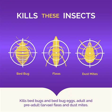 Bed Bug Killer With Egg Kill Hot Shot®