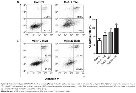 Metformin Inhibits Proliferation And Cytotoxicity And Induces Apoptosi