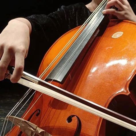 弦乐团中的 家族成员”，你pick哪一个？小提琴