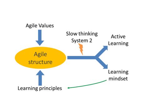 Agile Structure Is The Panacea For Learning In Organizations And So For