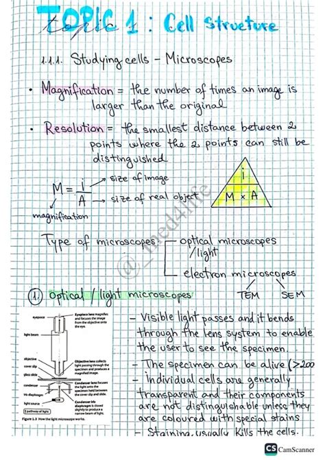 9700 Caie As Level A Level Biology Cell Structure Notes Cambridge A