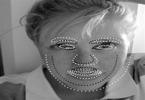 Face Alignment Using Regression Trees Frieda Rong