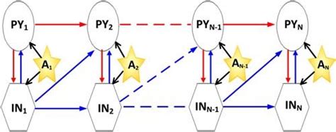 Illustration Of The Tripartite Synapse Network The Pyramidal Cells