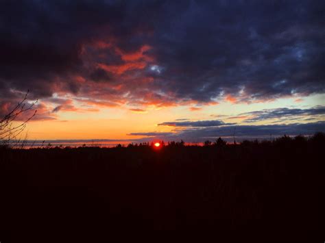 Julia Van Lingen2 Het Hunebed Nieuwscafé