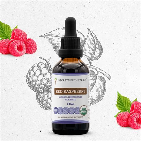 Red Raspberry Tincture Secrets Of The Tribe
