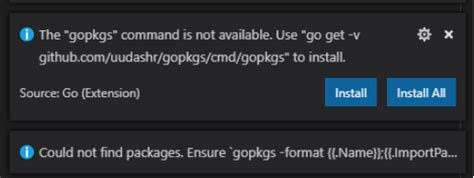 Vscode配置golang环境gopls The Go Language Server Is Currently Not Supp Csdn博客