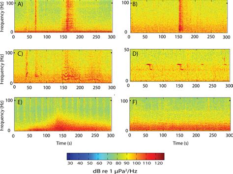 Spectrograms Of The Varied Acoustics Sources Recorded By The Bransfield Download Scientific
