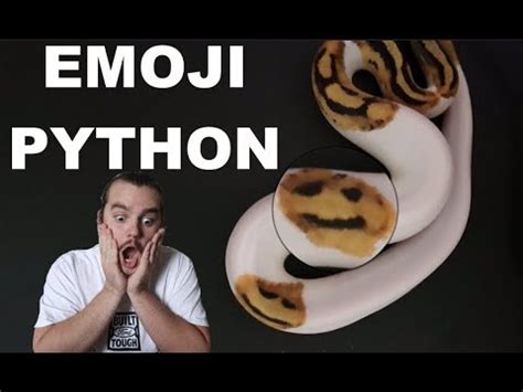 Emoji Ball Python Smiley Face Snake YouTube