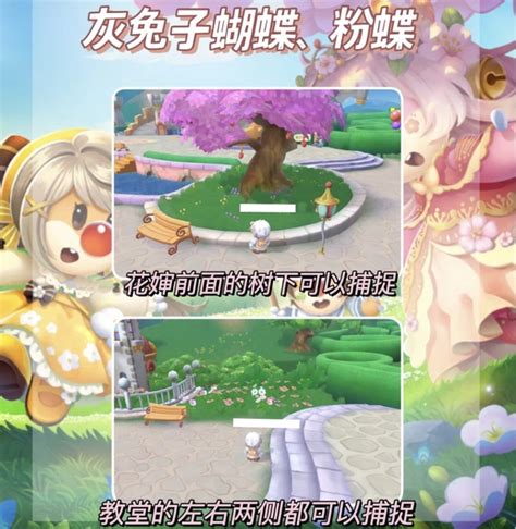 摩尔庄园抓蝴蝶在哪 摩尔庄园抓蝴蝶位置 梦幻手游网