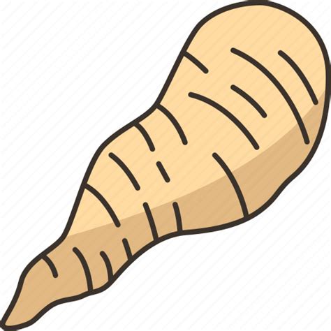 Parsnip Food Fresh Vegetable Vitamins Icon Download On Iconfinder