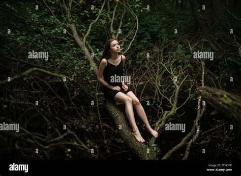 Girl Sitting On A Broken Tree In A Dense Forest Stock Photo Alamy