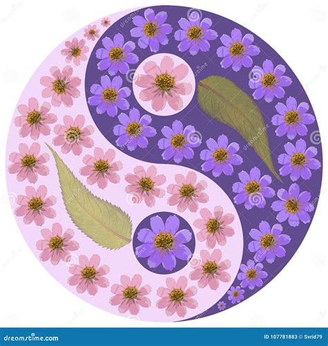 Floral Yin Yang Symbol Stock Illustration Illustration Of Life