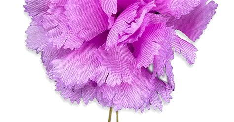 Pink Carnation Boutonniere Life Size Lapel Flower Fort Belvedere
