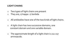 Antibody Structure And Function PPTX