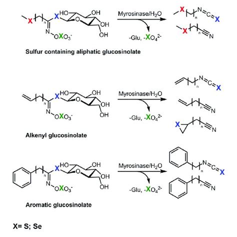 Isotope Pattern For Elemental Selenium A And As Observed In The
