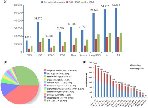 Transcriptome Sequencing Annotation And Identification Of Download Scientific Diagram