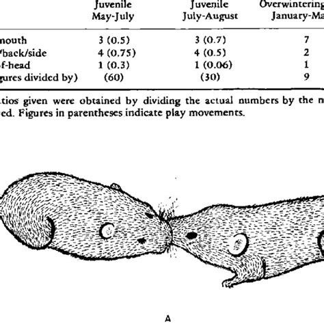 The Behaviour Of Monosexual Groups Towards A Stranger Download Table