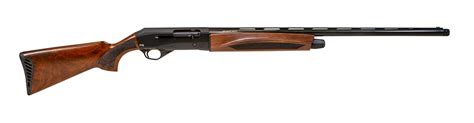 Pointer Pointer Field Tek 3 Kirft3b For Sale At