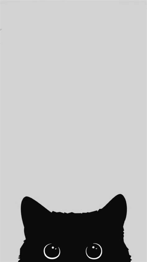 Pin By محمد الاحمد On مرات الحفظ السريع Cat Phone Wallpaper Cute Cat