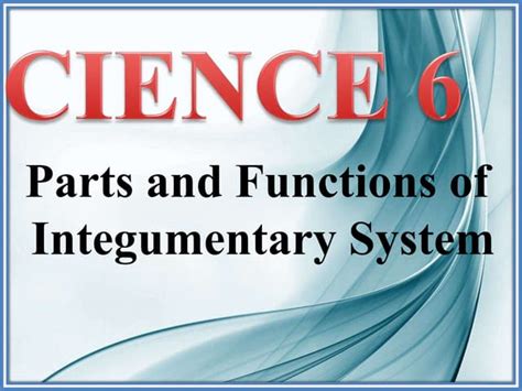 Intergumentary System Pptx