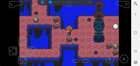 Distortion Puzzle Pokemonunbound