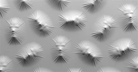 Microsoft 365 Security Assessment Echelon Risk Cyber