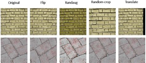 Some Samples Of Applied Augmentations Randaug Random Crop