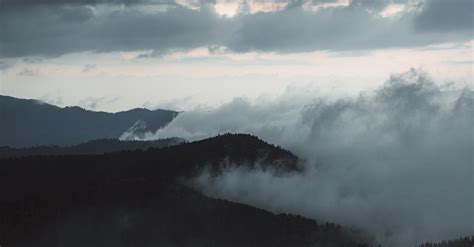 Best Menu Plugin Wordpress 13 Expert Answers For Success