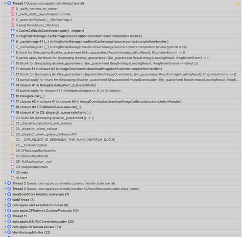 程序闪退 Issue onevcat Kingfisher GitHub