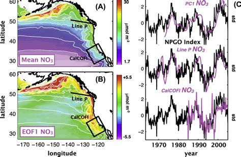Temporal And Spatial Variability Of Subsurface Nitrate No3 A Mean Download Scientific